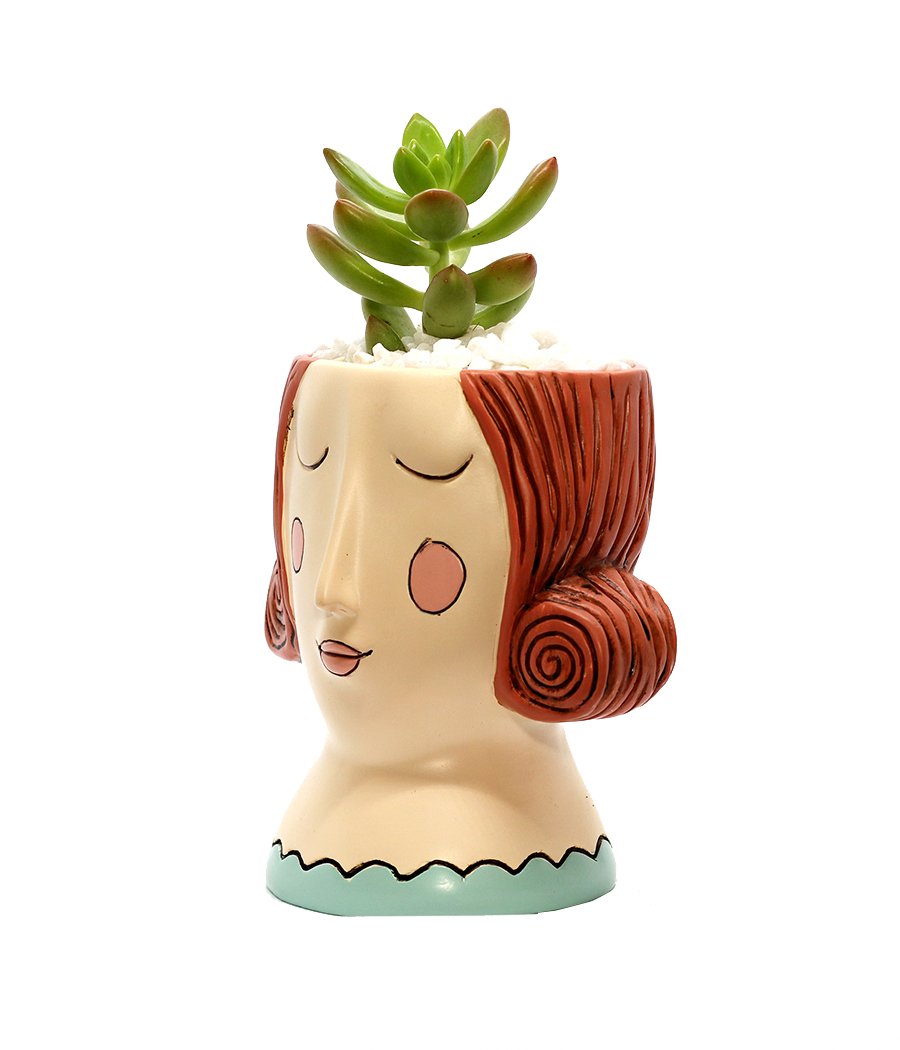 Mary-Cait - DIY Succulent Planter Kit Australia – Pot Head Planters