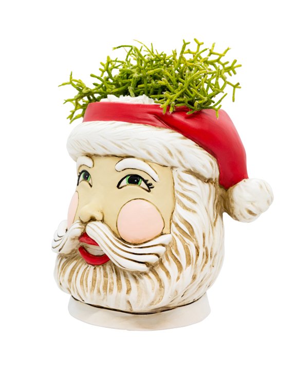Santa Planter - DIY Succulent Planter Kit Australia – Pot Head Planters